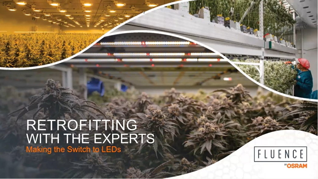 Retrofitting with the experts-making the switch to LED’s - Trinity ...